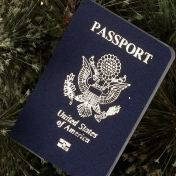 Wondershop | Holiday | Santa Passport Christmas Tree Ornament Navy ...